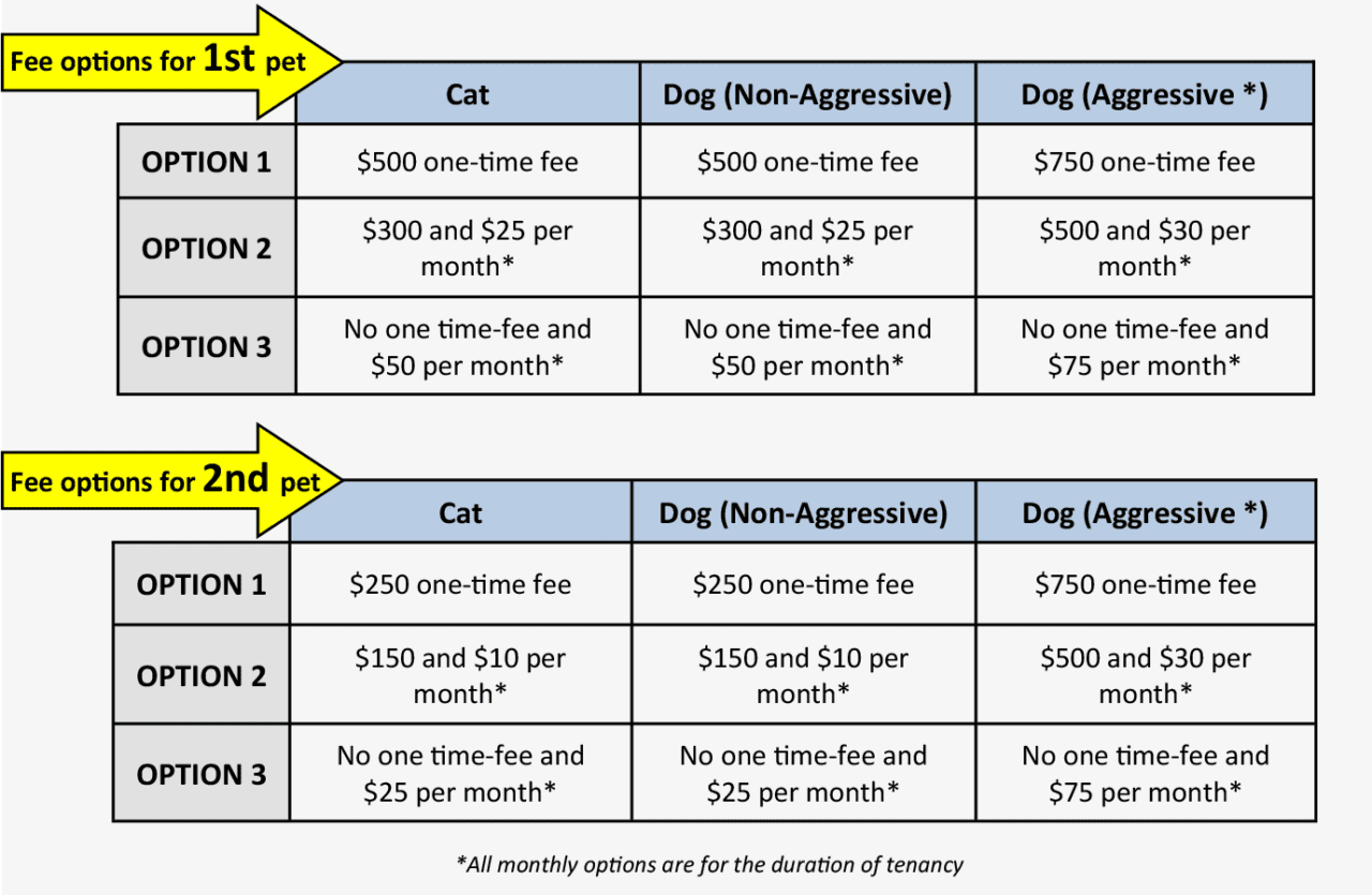 Our Pet Policy | Deca Property Management